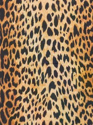 Gucci Leopard-print Logo-border Scarf