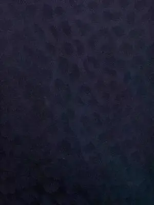 Roberto Cavalli Animal Print Crepe Top - Blue