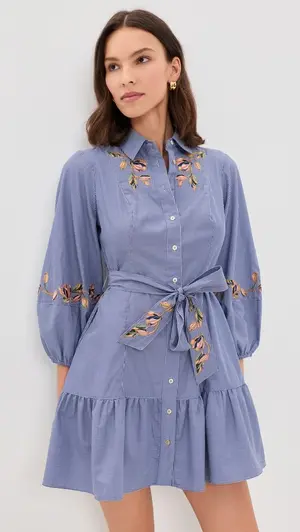 Shoshanna Gwen Dress