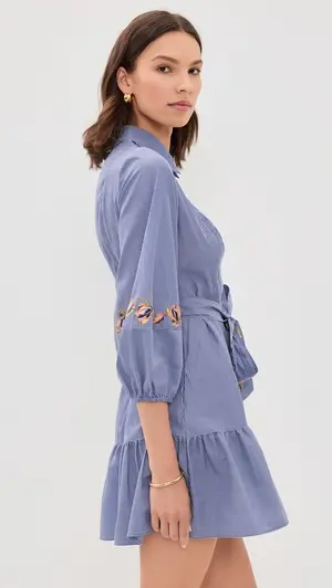 Shoshanna Gwen Dress