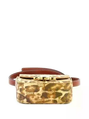 Celine Claude Printed Triomphe Coated Canvas Mini Shoulder Bag - Neutrals