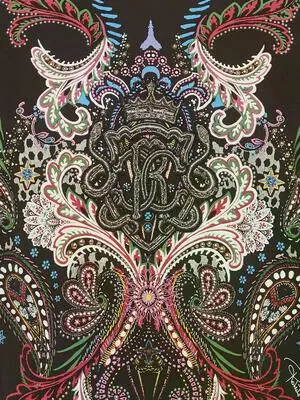 Roberto Cavalli Printed Oversized T-shirt
