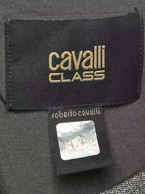 Roberto Cavalli Metallic Stripe Mini Dress