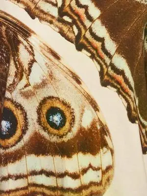 Givenchy Butterfly Print Crewneck Hoodie