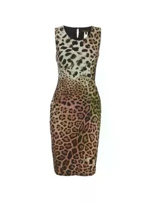 Roberto Cavalli Animal Print Midi Dress - Neutrals