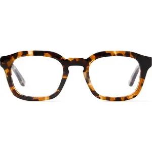 FRENCH KIWIS EYEWEAR French Kiwis Eyewear Oscar Reading Glasses Tortoise