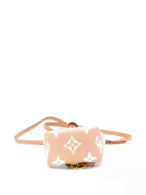 LOUIS VUITTON Monogram Giant Backpack