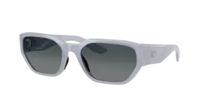 COSTA Costa Clemente Sunglasses Gray Gradient