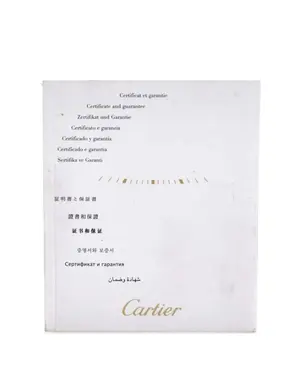 CARTIER Ballon Bleu De Automatic Watch In Stainless Steel