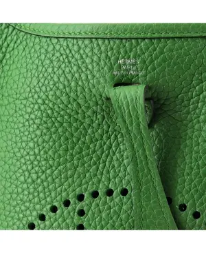 Hermès Tpm Long Strap Evelyne Bag Clemence - Green