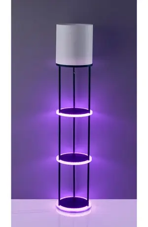ADESSO Keely Rgb Color Changing Shelf Floor Lamp