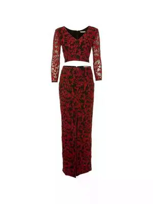 Alice + Olivia Embroidered Tulle Top And Skirt Set