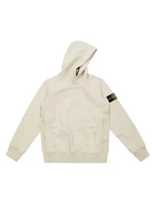 Stone Island Stone Island Basic Hoodie With Logo Badge V0095