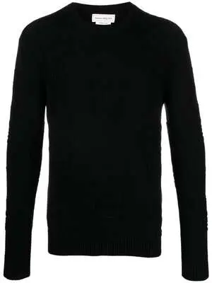 Alexander McQueen Long Sleeve Crew Neck Knit