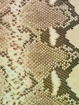 Stella McCartney Snakeskin-print High Neck Top