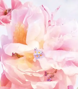 Dior Miss Blooming Bouquet Eau De Toilette Roller-pearl