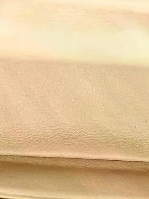 LOUIS VUITTON Nice Vanity Case Monogram Canvas Nano Pouch