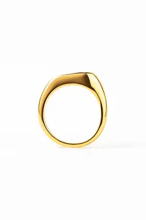 ZYNNIA COLLECTIVE Facet Ring