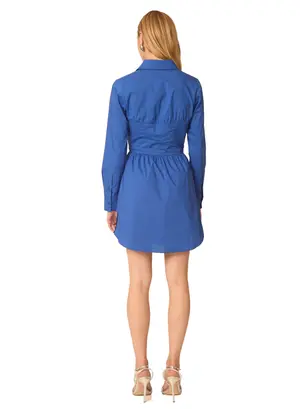 GILNER FARRAR Yelina Bustier Button-down Poplin Dress