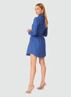 GILNER FARRAR Yelina Bustier Button-down Poplin Dress