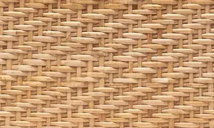 FRANCES VALENTINE Stella Rattan Clutch