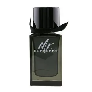 Burberry Eau De Parfum Spray Mr - Default