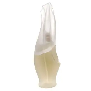 Donna Karan New York Cashmere Mist Eau De Toilette Spray For Her - Default