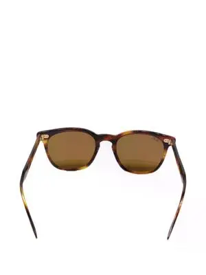 Ray-ban Hawkeye Sunglasses