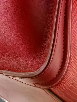 Celine Luggage Nano Tote Bag In Lizard And Leather