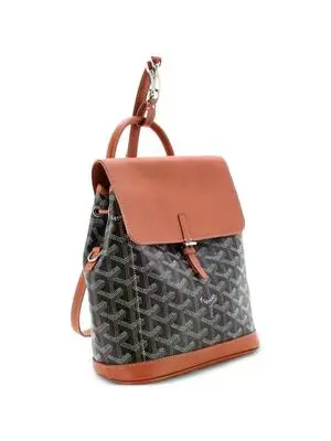 Goyard Alpin Mini Backpack In Coated Canvas - Brown
