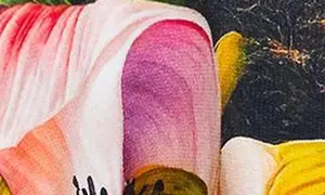 Desigual Print Front Zip Hoodie