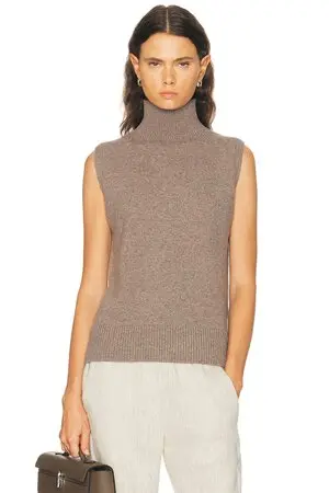 Brandon Maxwell Bruno Sleeveless High Neck Vest In Brown