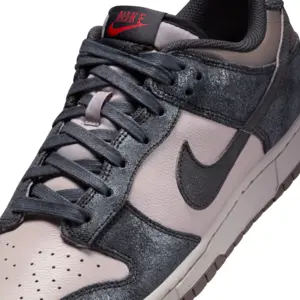 Nike Dunk Low Retro Shoes