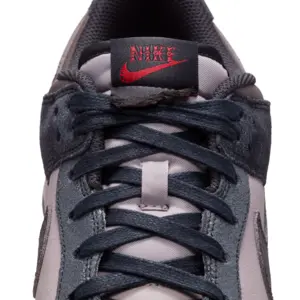 Nike Dunk Low Retro Shoes