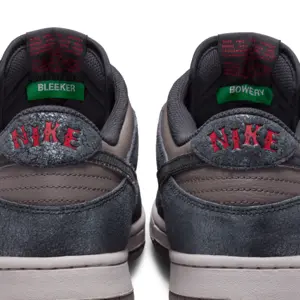 Nike Dunk Low Retro Shoes