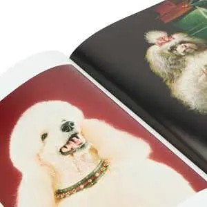 Assouline Chic Dogs