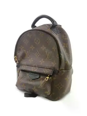 LOUIS VUITTON Palm Springs Backpack - Brown