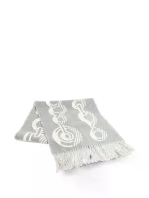 Hermès Fringed Scarf