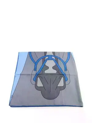 Hermès Horse-print Scarf