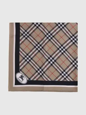 Burberry Neck Scarf