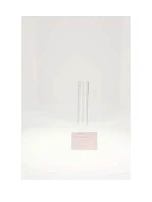 Dior Medalljon Card Holder