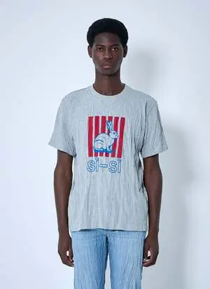 Bottega Veneta Crushed Sisi T-shirt - Gray