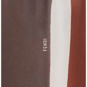 Fendi Logo Shorts With Venetian Stripes Motif - Multicolor