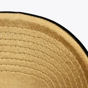 Mitchell & Ness Charlotte Hornets Hardwood Classics Gold Pro Crown Snapback Hat By - Black