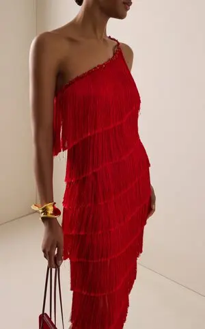 FRANCESCA MIRANDA Isidora Fringed Silk-blend Maxi Dress