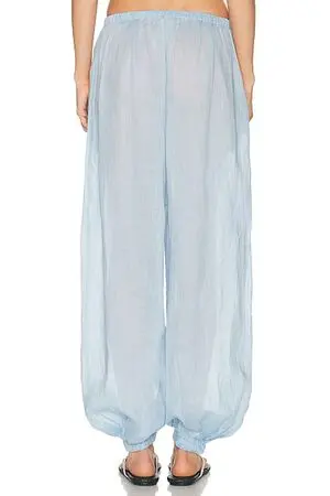 L'academie Darina Pant