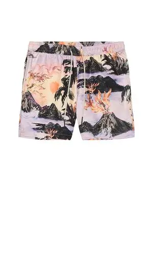 Oas Regalia Swim Shorts - Multi