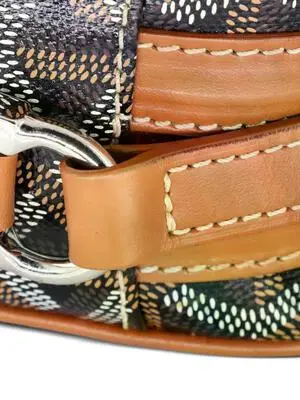 Goyard Cap Vert Bag In Printed Coated Canvas - Brown