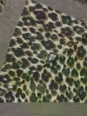 Etro Paisley Animal-print Scarf