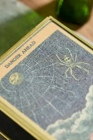 TERRAIN Spider Web Divg Box
